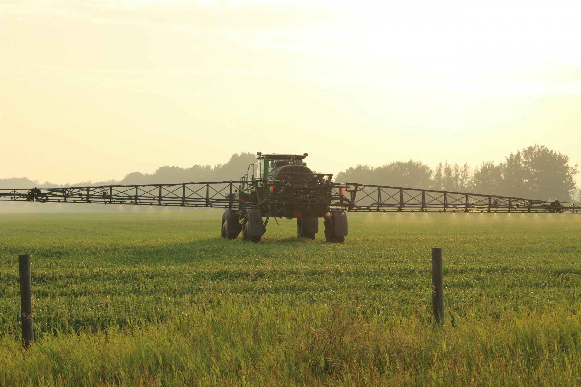 PPAG 101: Herbicide Resistances